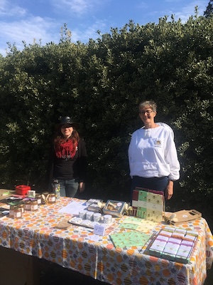 Jane Nimmo – Birmingham Beekeepers